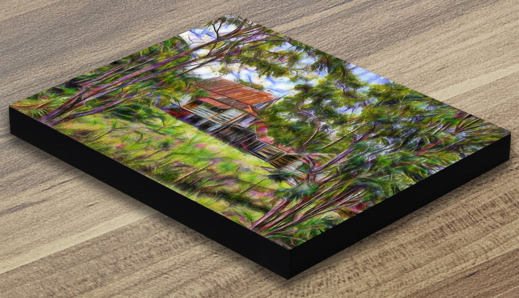 Giclée Archival Canvas Printing Services - Sepia Studio Ltd